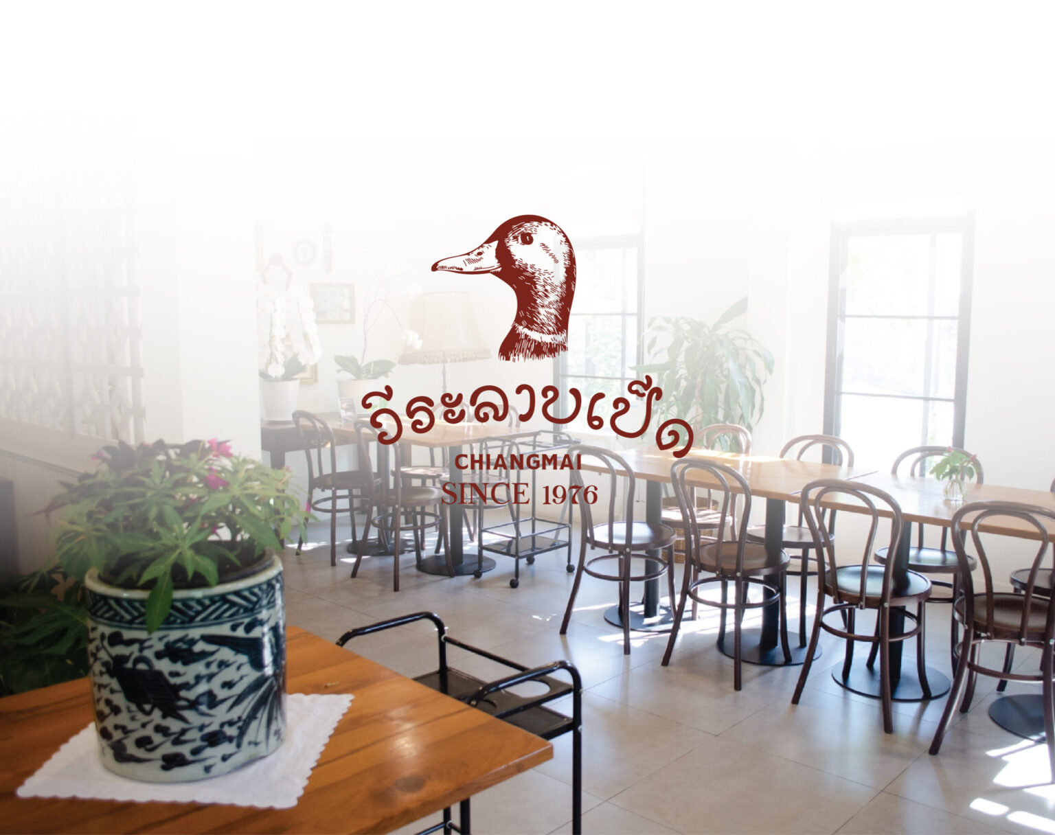 Authentic Thai Food Restaurant in Las Vegas | Weera Thai Food ...